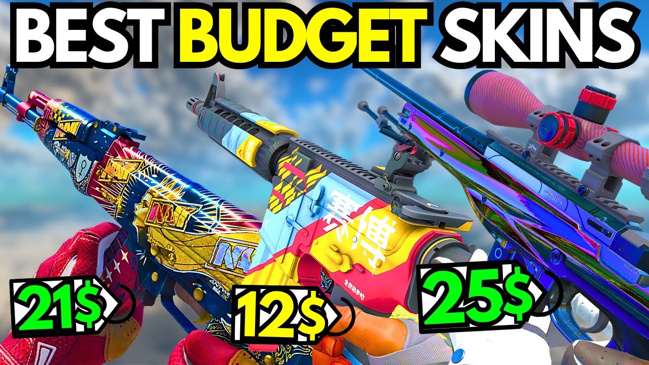 The BEST Budget SKINS in CS2 For Under $30 (CHEAP CS2 Skins in 2024 ...