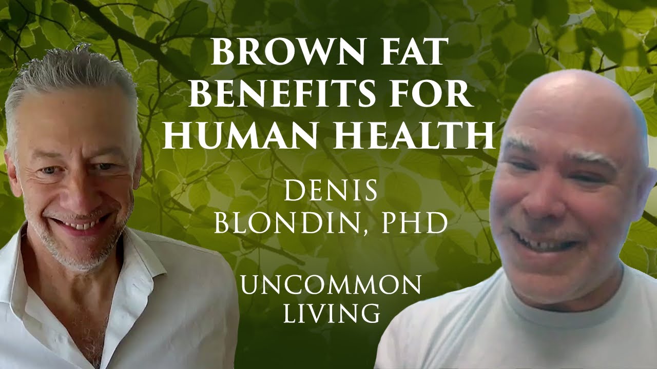 Brown Fat Benefits for Human Health | Denis Blondin, PhD | Uncommon ...