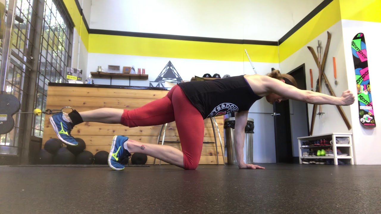 Advanced Bird Dog: Resistance Around Ankle - YouTube