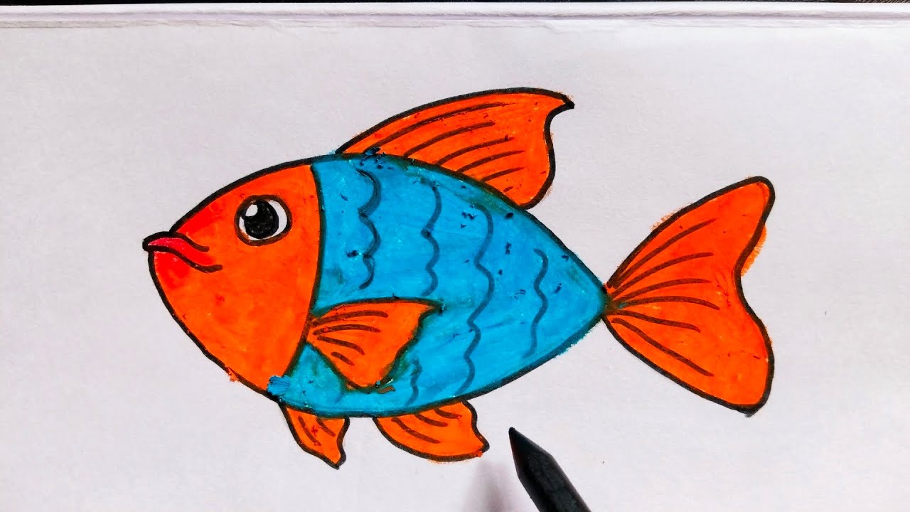 How to draw a beautiful fish drawing/ fish drawing - YouTube