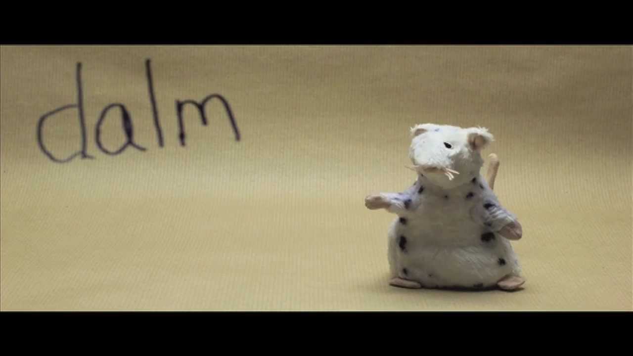 Dalmatian Mice. - YouTube