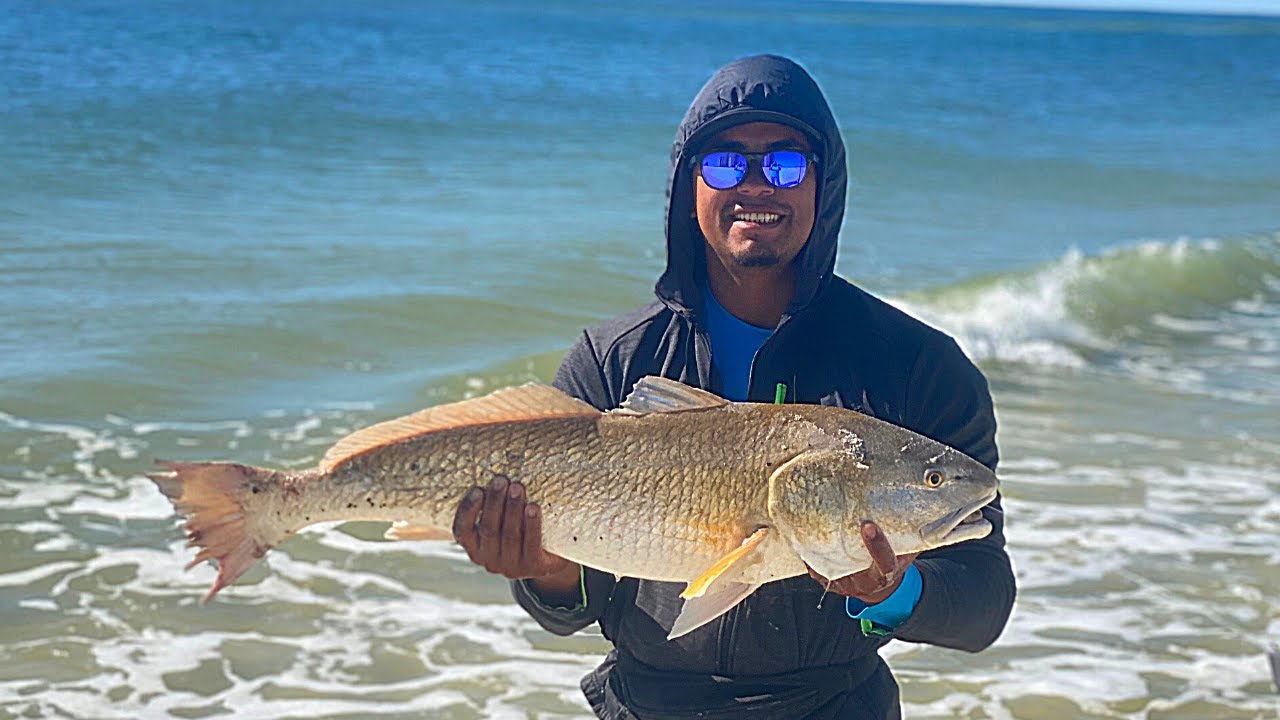 Fall Redfish, Pompano Run Has Been Insane in Pensacola, FL - YouTube