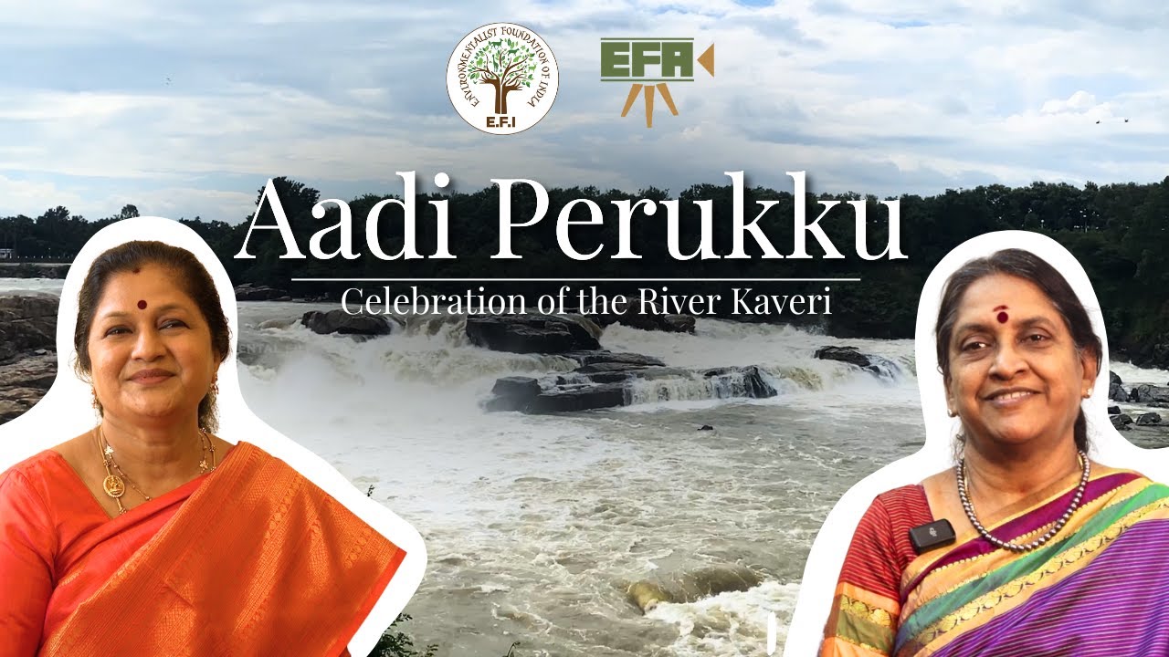 EFI's Aadi Perukku: Celebration of the River Kaveri - YouTube