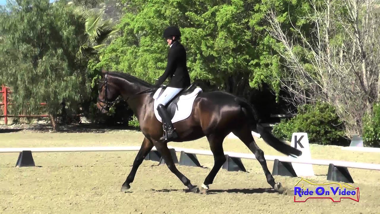 187D Jill Jaeger on Raffaella SR Novice Dressage Copper Meadows March ...