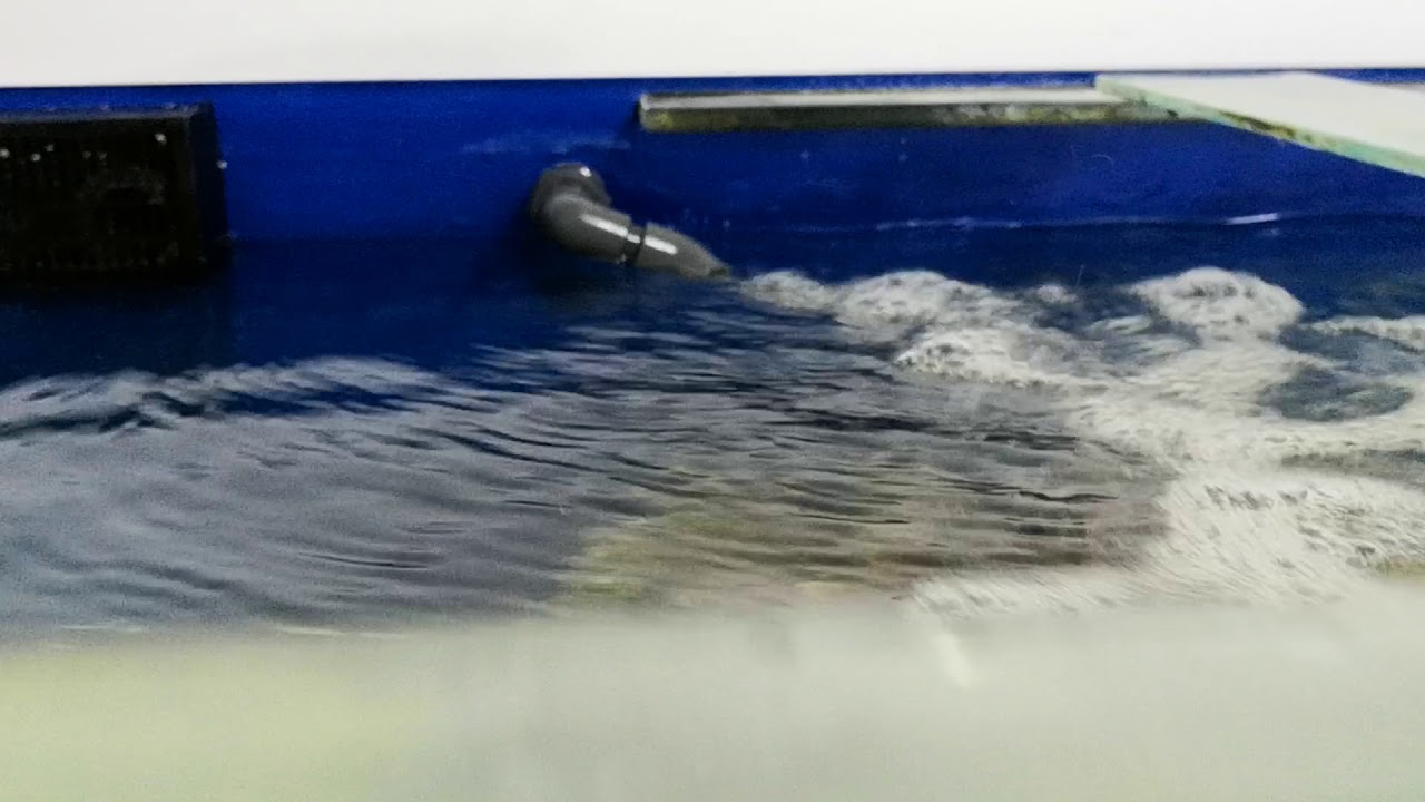 Funcionamiento blau reef motion 8kdc - YouTube