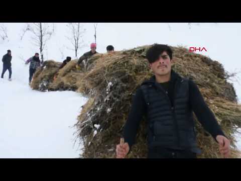 Dağlardan kızaklarla ot taşıyorlar