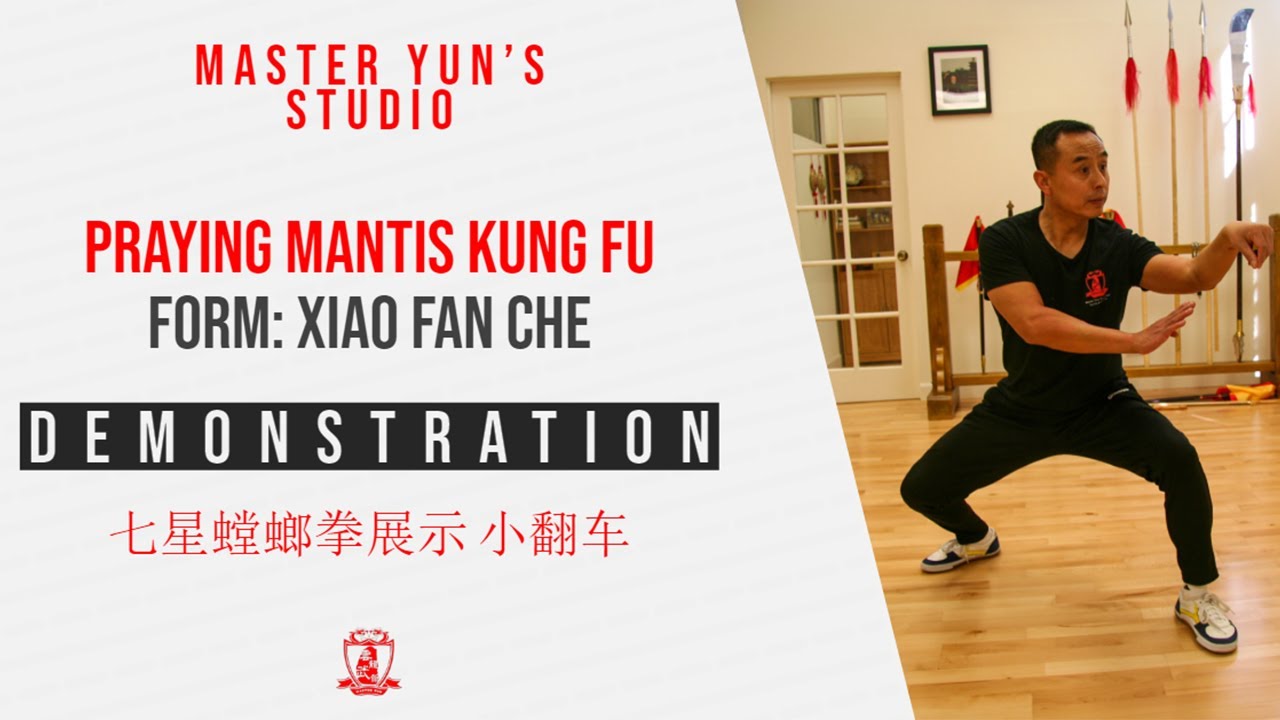 Seven Star Praying Mantis | Xiao Fan Che Form Demonstration - YouTube