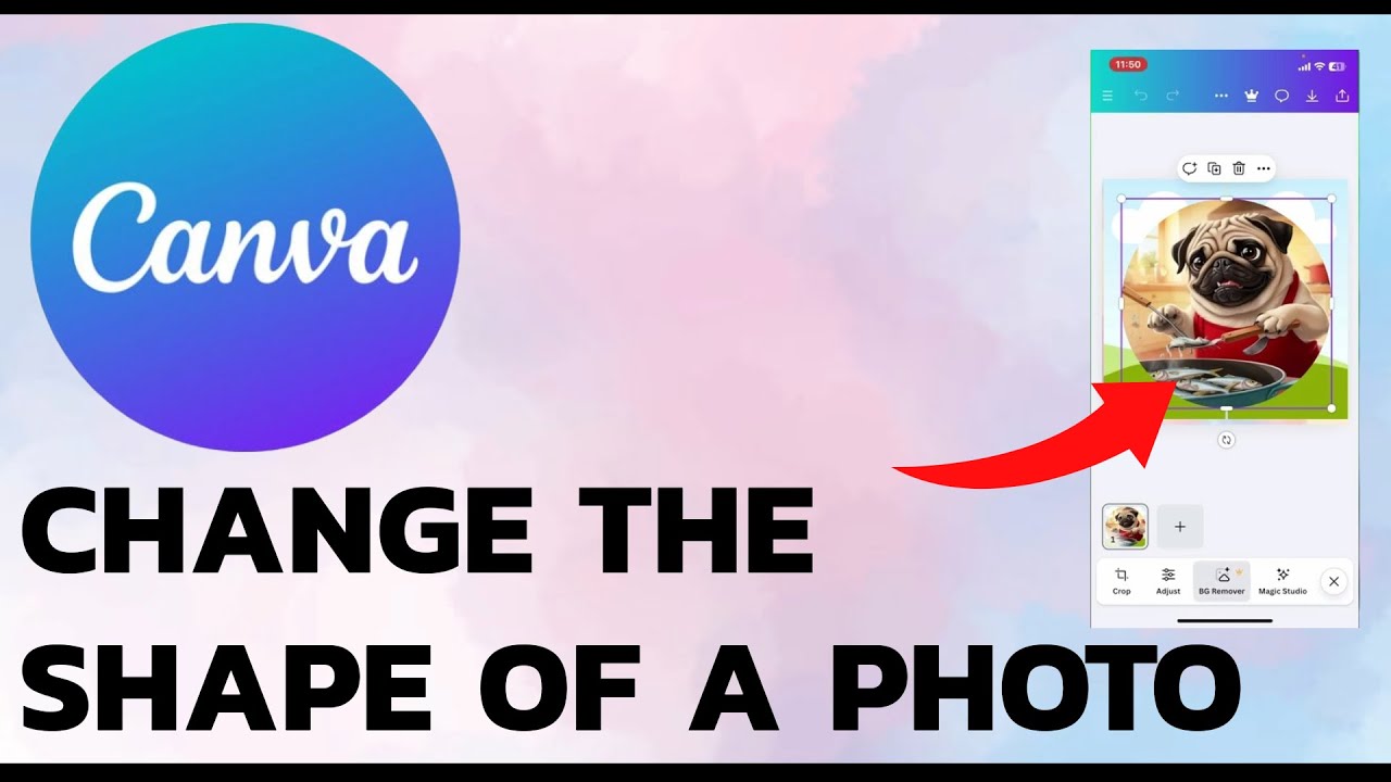 How to Change the Shape of a Photo in Canva? How to Crop and Shape ...