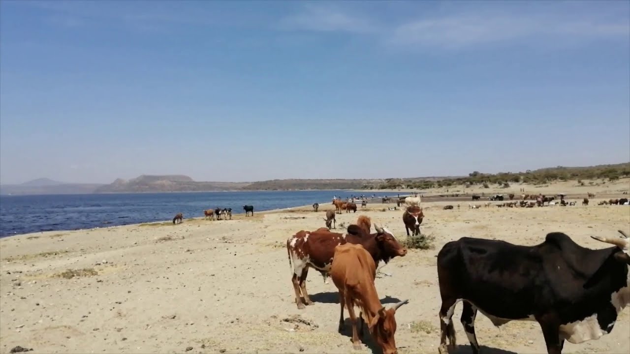 Shala Lake in Ethiopia 2019 - YouTube