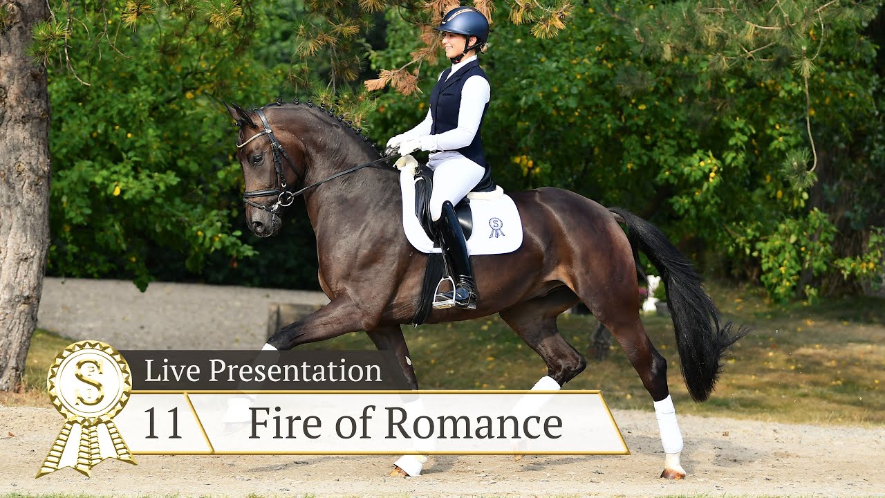 Cat. No. 11 Fire of Romance - Live Presentation - YouTube