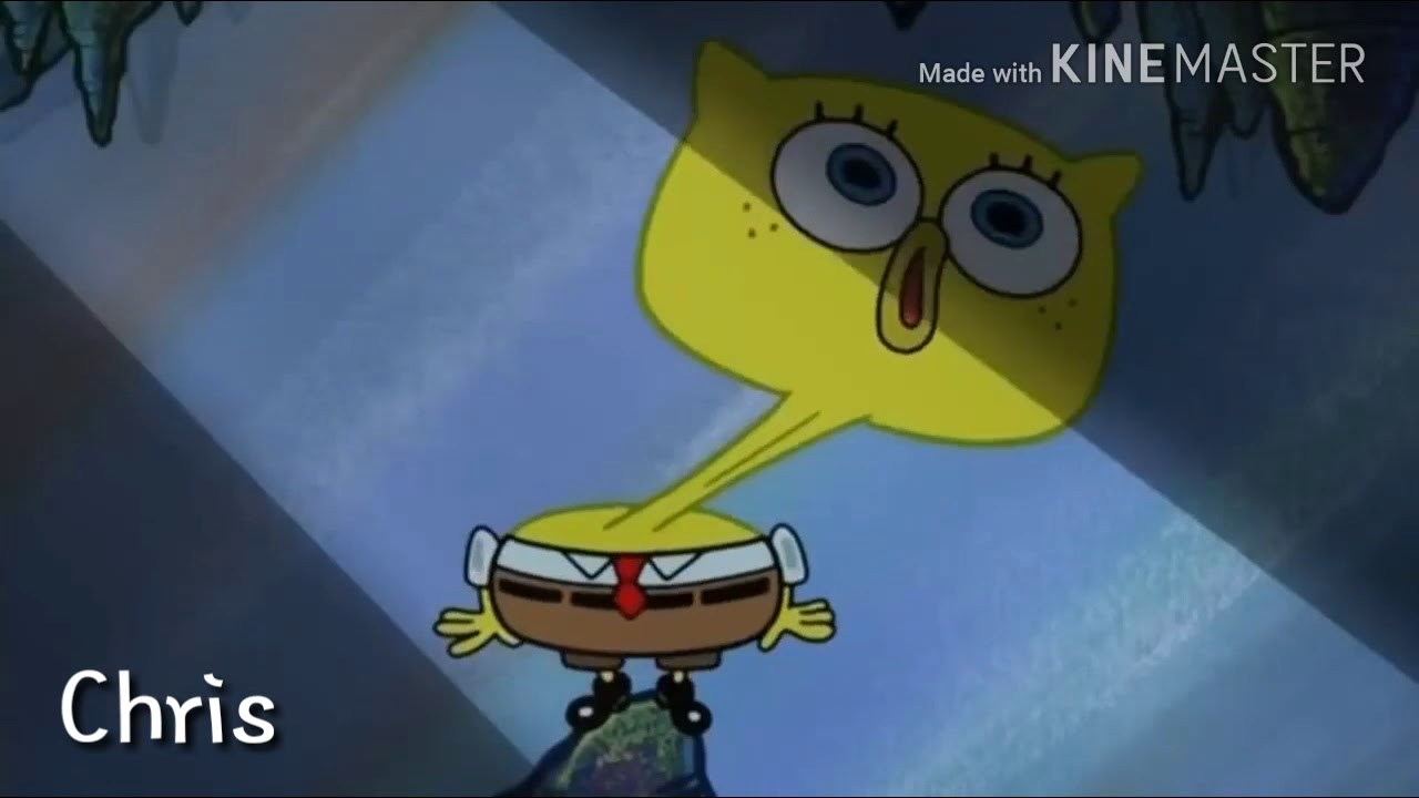 Star's Taco Portrayed by Spongebob - YouTube