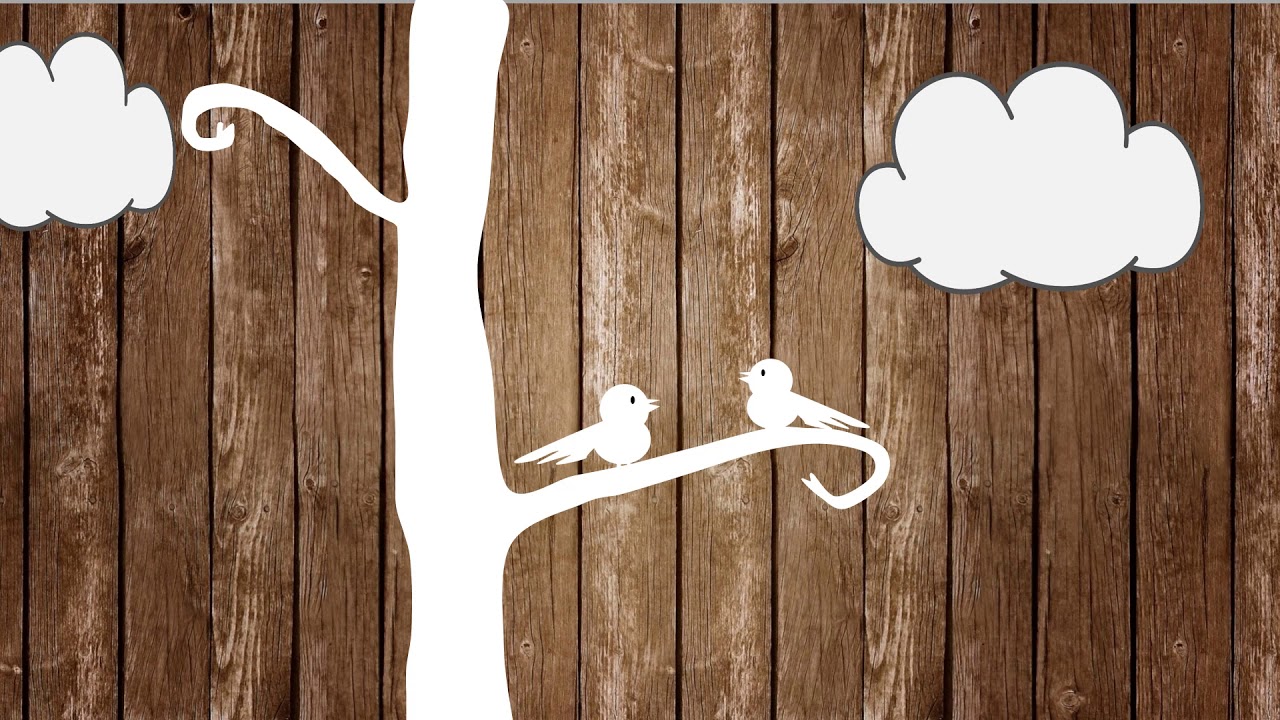 pajaros first dates - YouTube