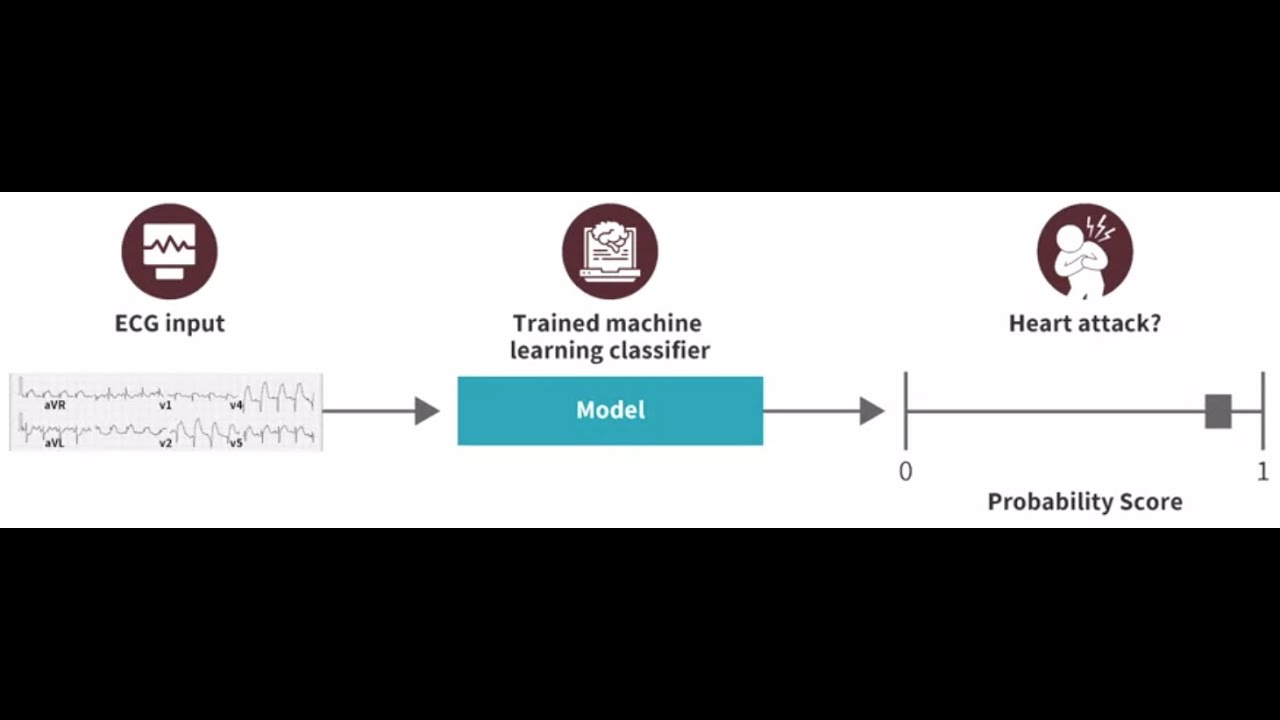 Cardiovascular diseases Prediction using AI - High risk - YouTube