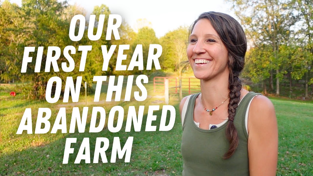 Transforming this 1960s Farm into a Thriving Homestead - YouTube