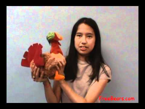 Turkey Time Plush Turkey by Gund and Available at FreeBears.com - YouTube