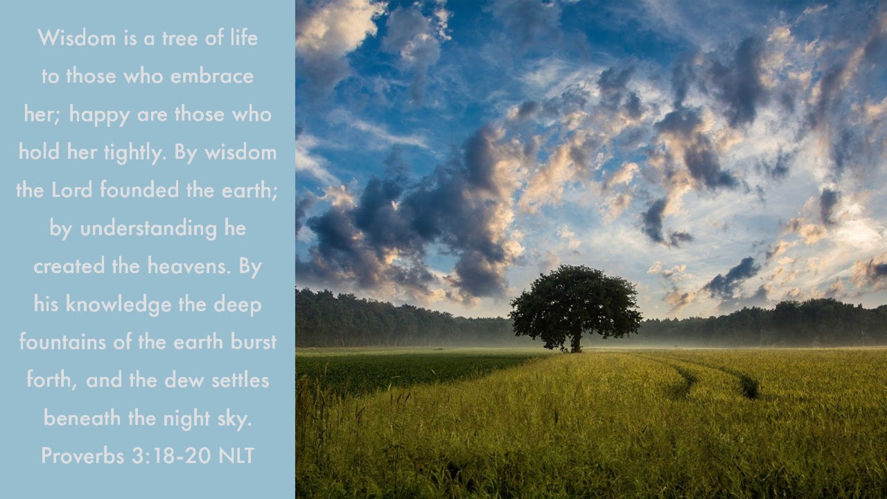 Video Verses Proverbs 3:18‭-‬20 NLT - YouTube