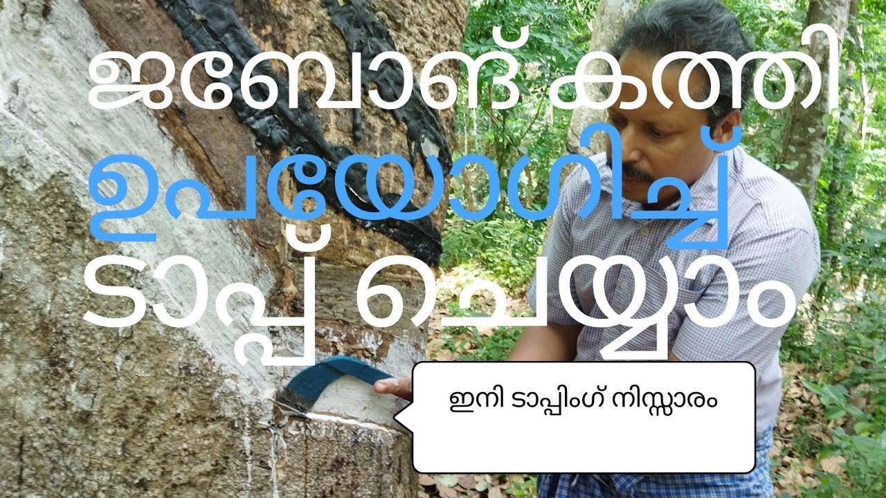 ഈ കത്തി ഉപയോഗിച്ച് റബ്ബർ വേഗത്തിൽ ടാപ്പ് ചെയ്തെടുക്കാംCan be tapped ...