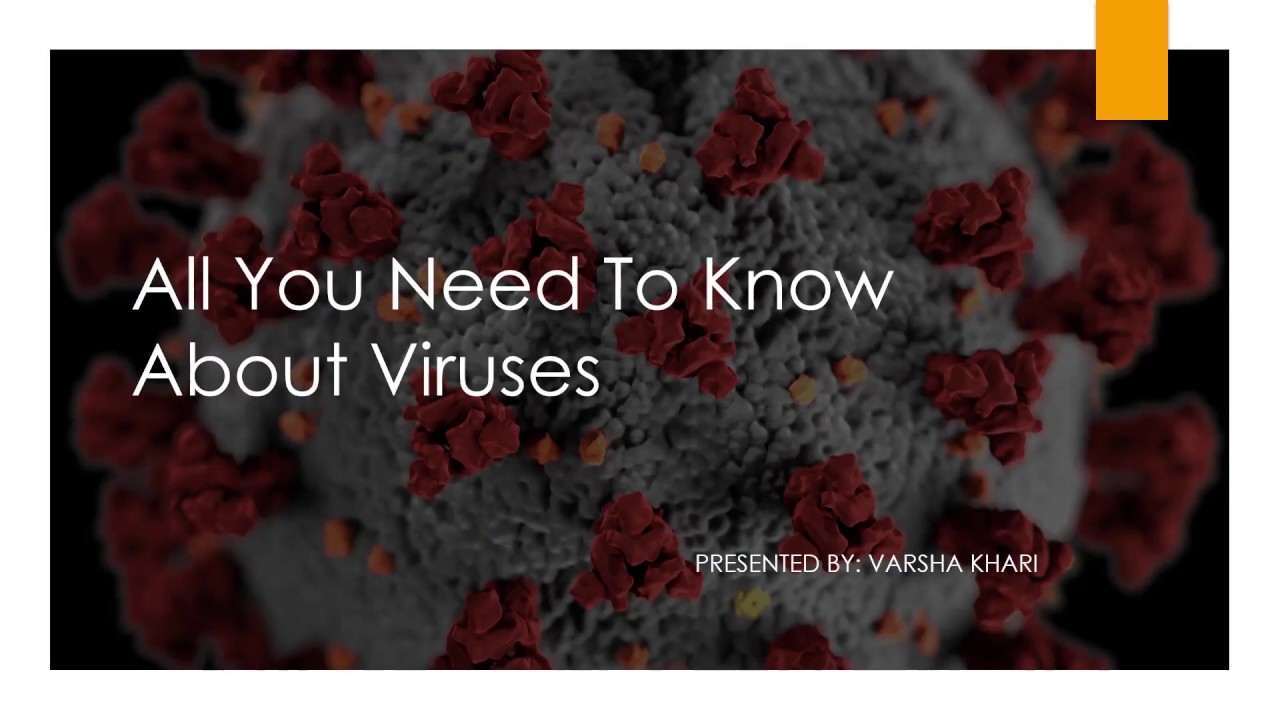 All You Need To Know About Viruses - YouTube