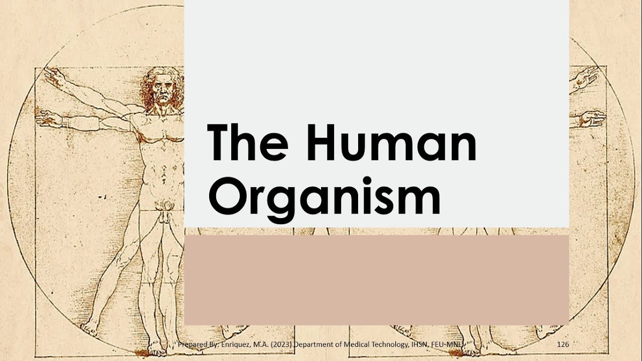 Basic Anatomy & Physiology 01 | THE HUMAN ORGANISM Reference Seeley's ...