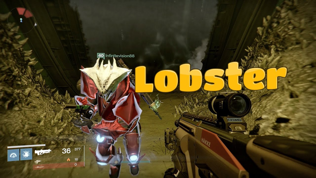 Gorgon Maze & Jumping Puzzle Guide (Hard Mode) | Destiny - YouTube