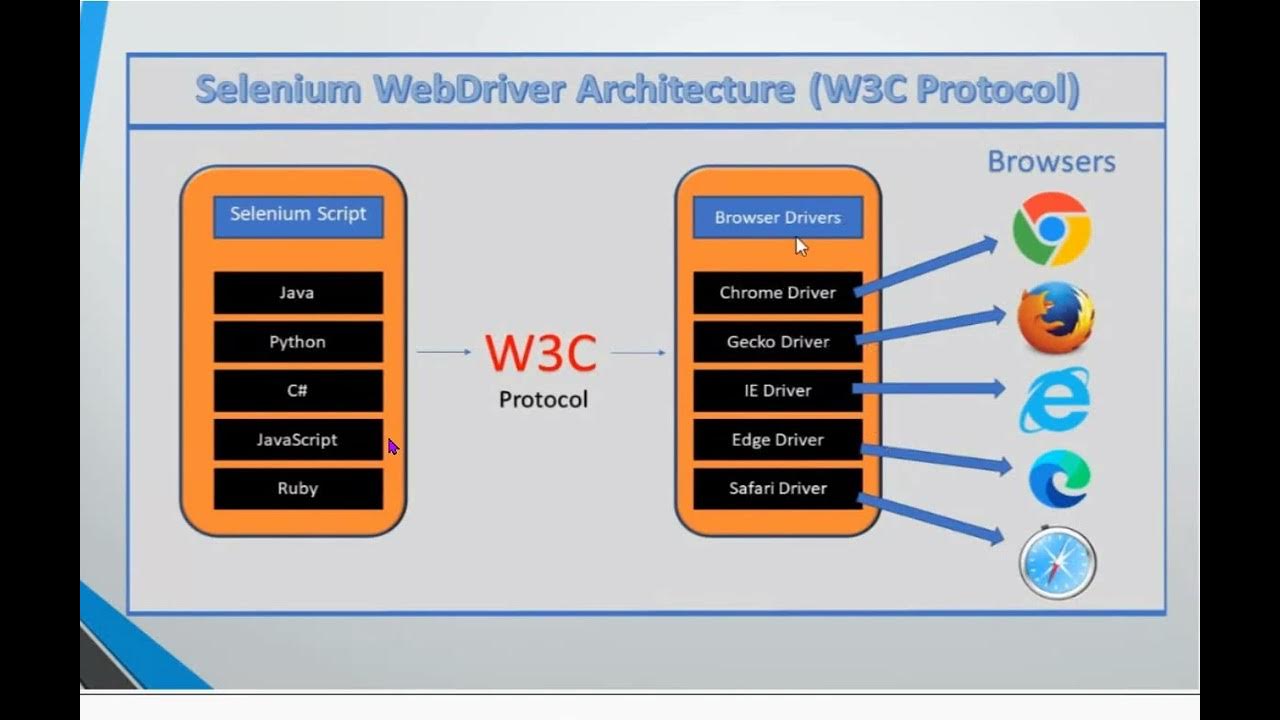 Selenium Architecture - YouTube