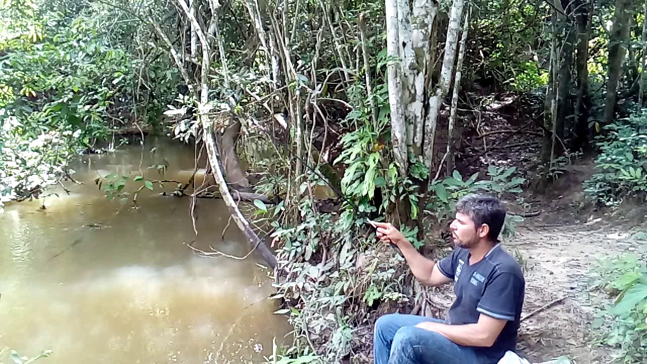 Pescando. Lambari - YouTube