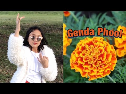 Genda Phool - Badshah /Jacqueline Fernandez/ Kids dance - YouTube