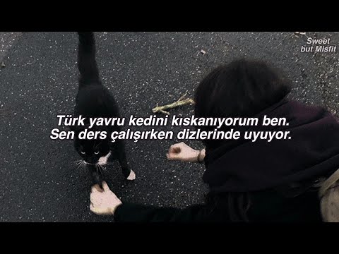 Paris'te Bir Türk / Enas Tourkos sto Parisi - Türkçe Çeviri Ένας Τούρκος στο Παρίσι