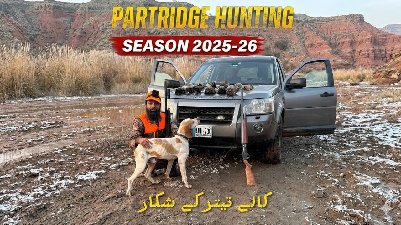 PARTRIDGE HUNT | Season 2025-26 | adventurous scenes in the mountain🤯 🤯 ...