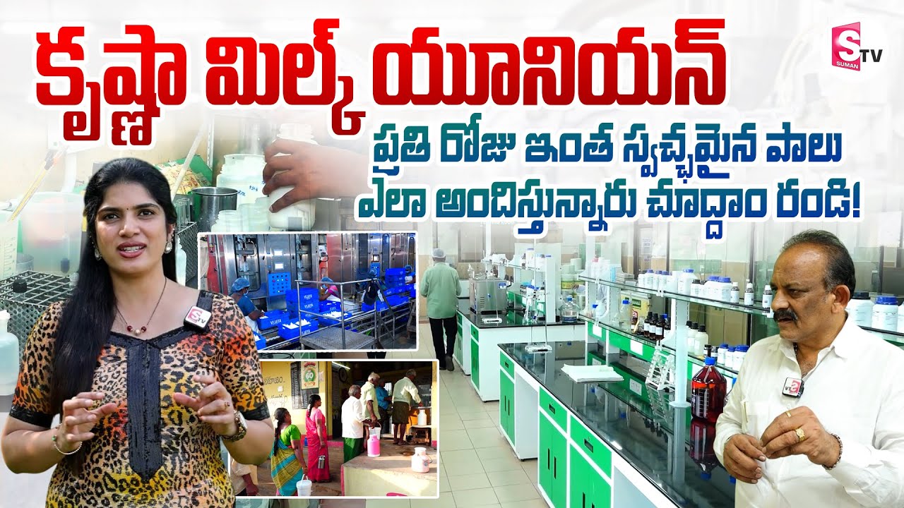 ప్రతి రోజు 12 లక్షల లీటర్ల పాలు! | Krishna Milk Union Plant Tour ...