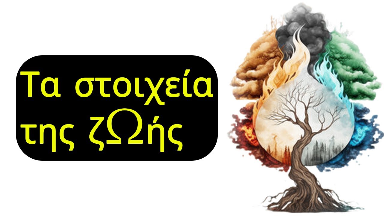 Πώς λειτουργούν το νερό και τα δέντρα? (μέρος 3ο) | ΦΥΣΗ | ΕΠΙΣΤΗΜΗ ...