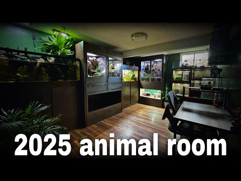 Animal room tour 2025