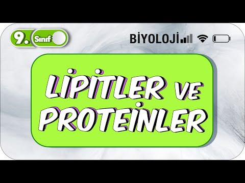 Lipitler ve Proteinler  | Öğrenme Garantili Özet Anlatım  #2023