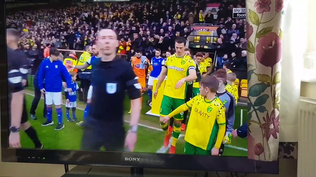 Max as a mascot for the Norwich city goalie Krul at the Norwich city ...