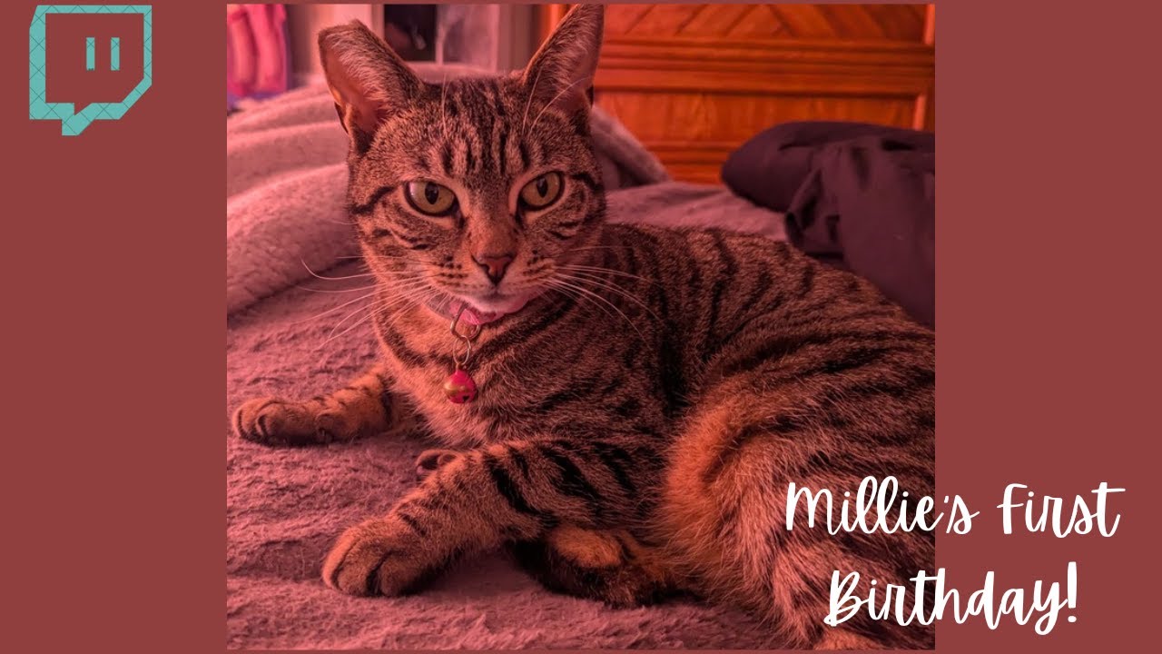 Millie Louise's first birthday! - YouTube