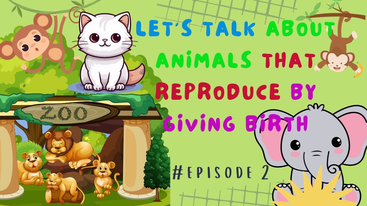 types of animals giving birth | Cartoon for children - YouTube