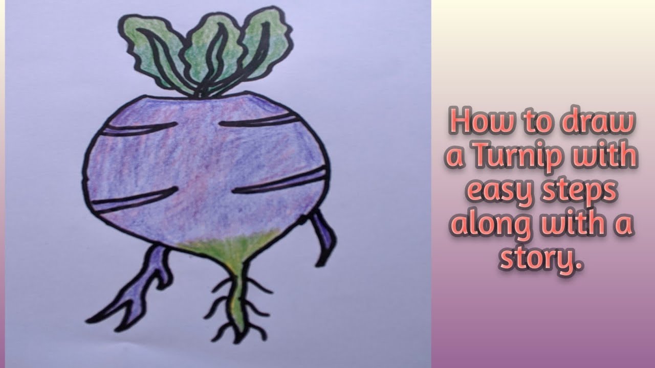 How to draw aTurnip step by step (very easy) II Shalgom Drawing - YouTube