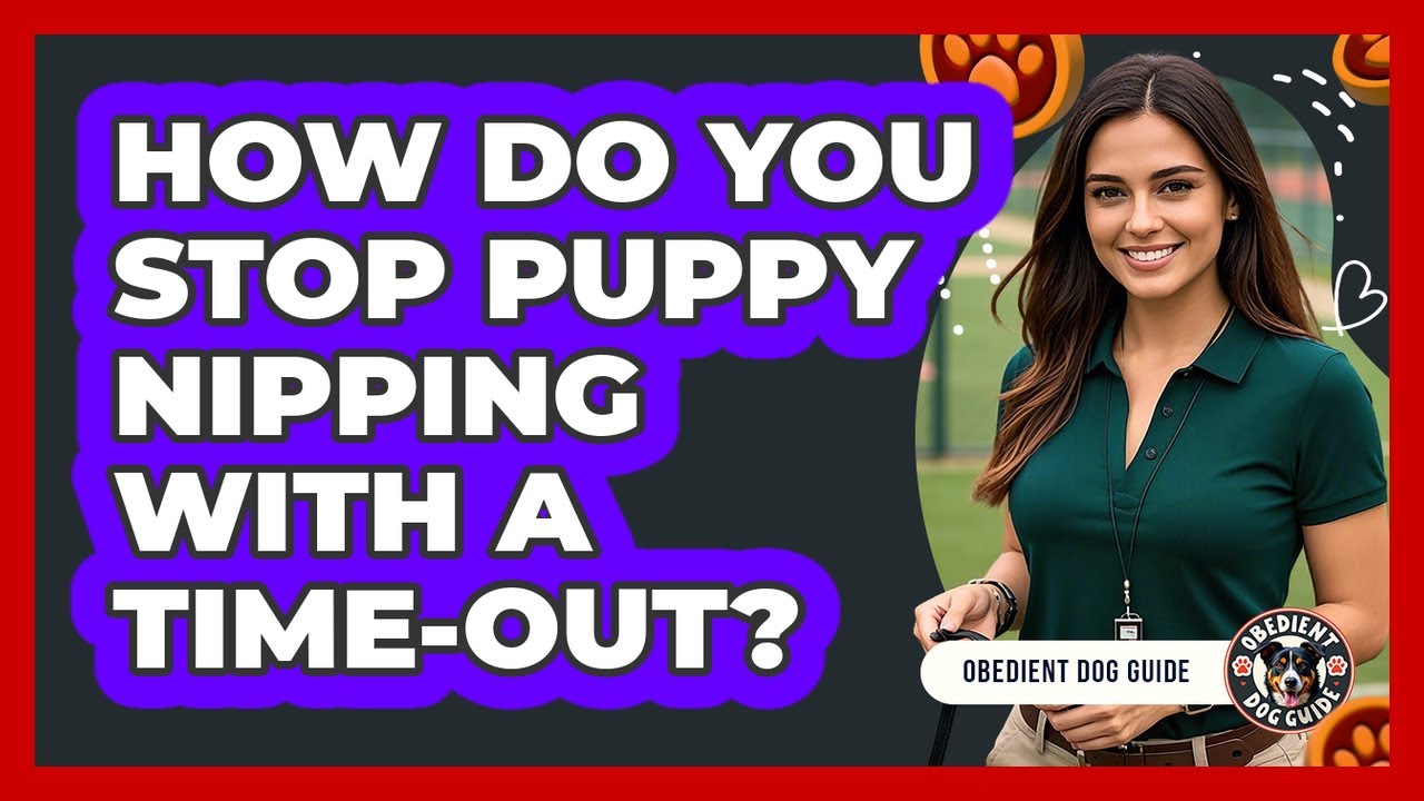 How Do You Stop Puppy Nipping With A Time-out? - Obedient Dog Guide ...