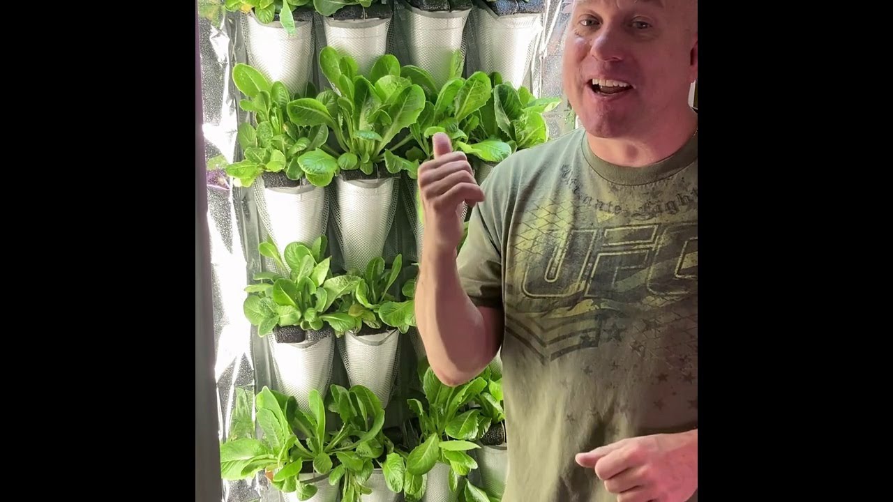 The AMAZING $20 DIY Vertical Grow Wall.This thing is SO EASY to build ...