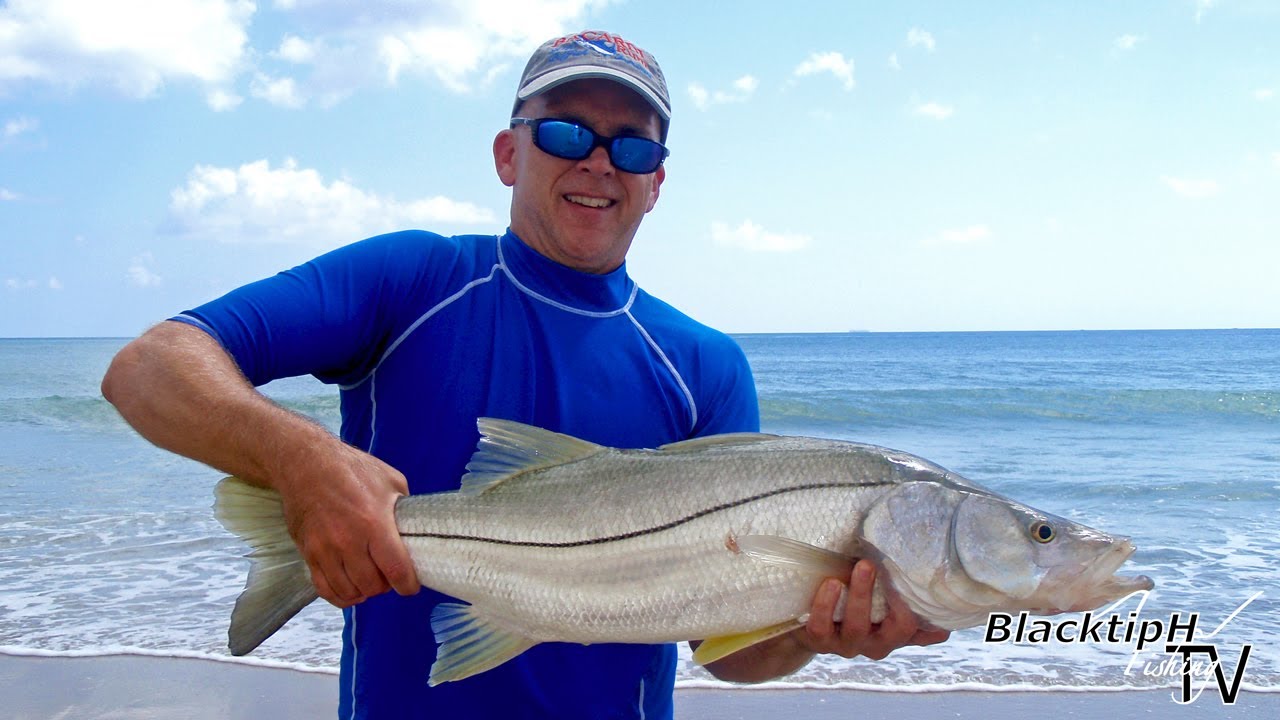 Monster Snook from the Beach - YouTube