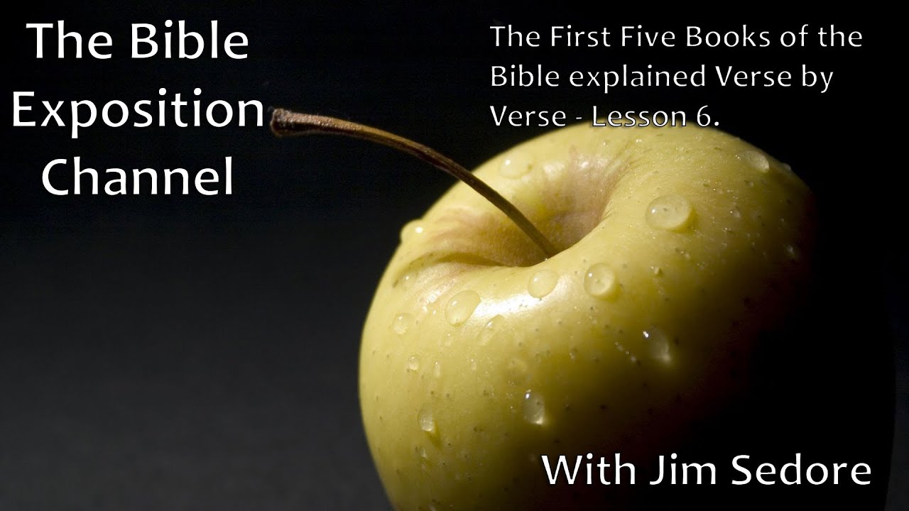 Lesson 6 The First Five Books of the bible explained Verse by Verse ...
