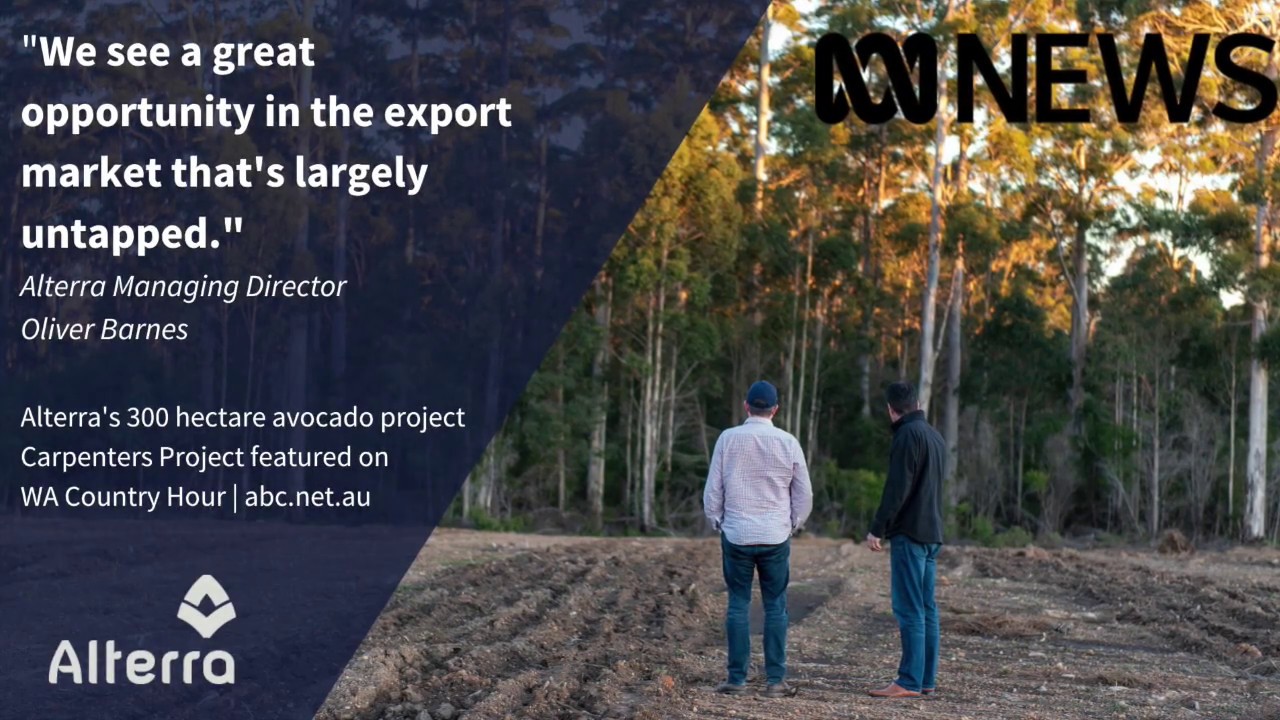 WA Country Hour June 2020: Alterra eyes avocado export opportunity ...
