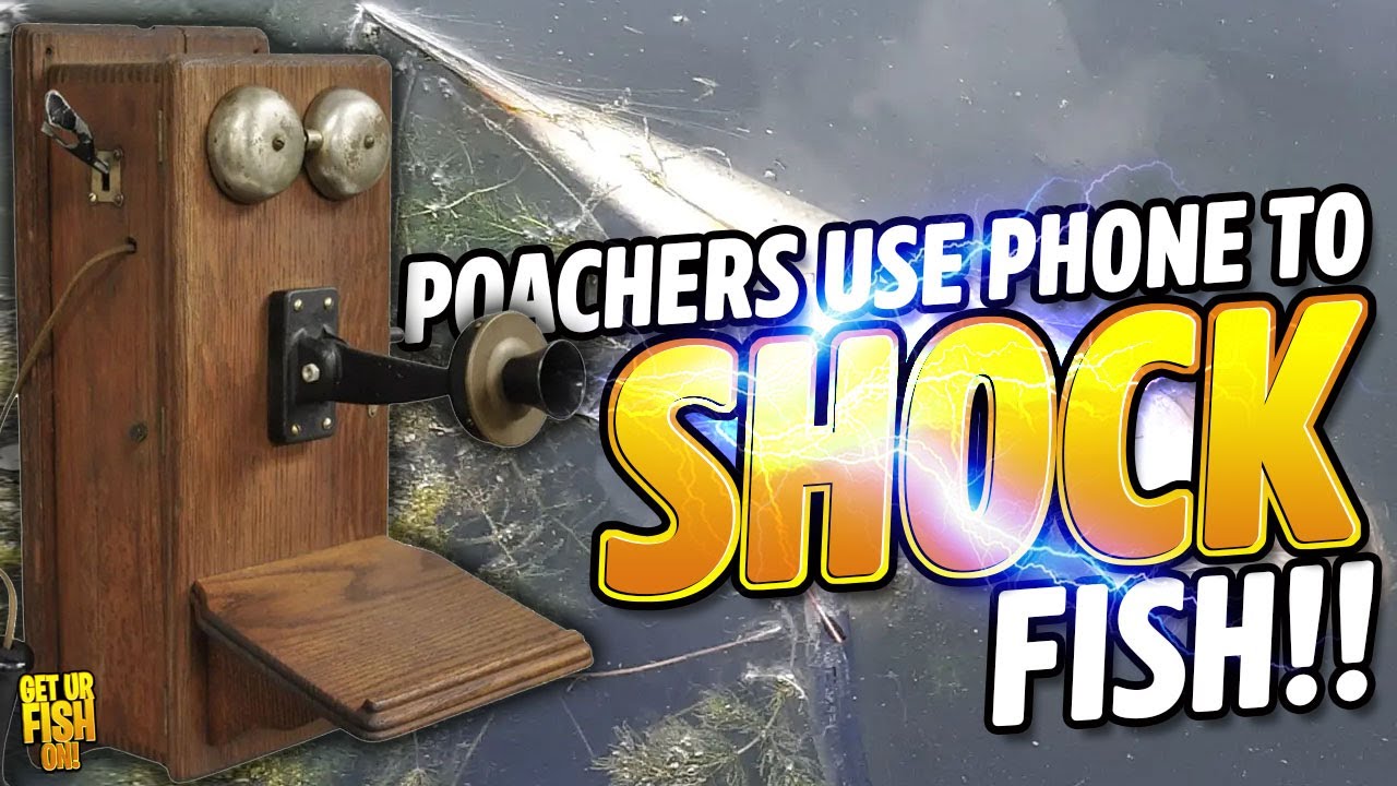 Poachers Use Old-School Phone to SHOCK FISH - YouTube