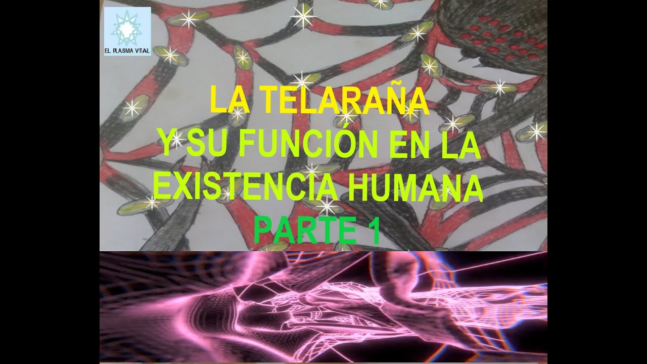 LA TELARAÑA Y SU FUNCIÓN EN LA EXISTENCIA HUMANA, PARTE 1 #misterio # ...