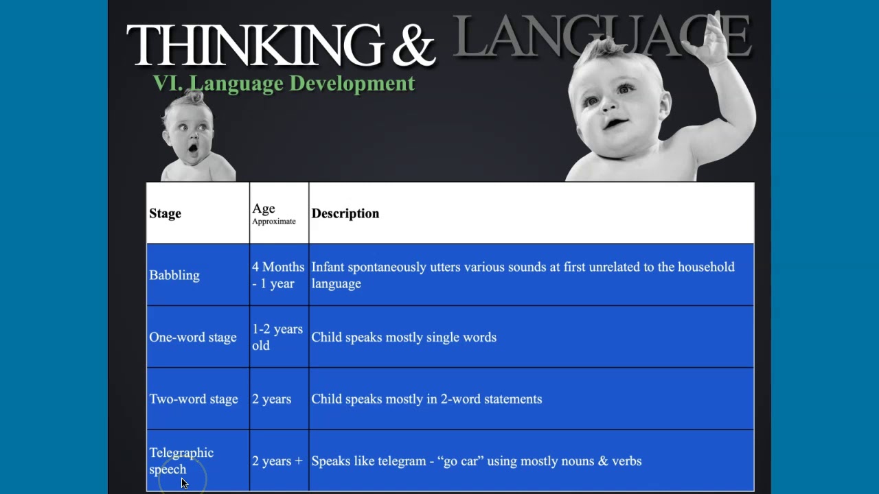 AP Psychology Unit 5 Thinking & Language - YouTube