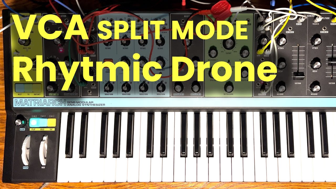 Moog Matriarch Ducking Delay Rhythmic Drone - VCA Split mode - YouTube