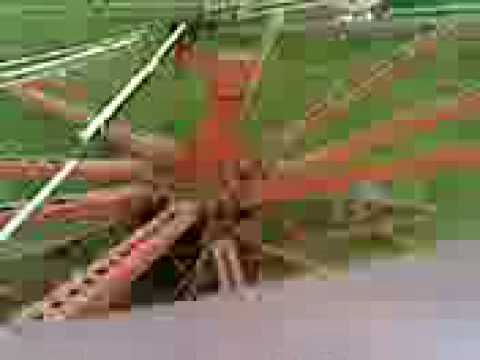 Octopus ride... - YouTube