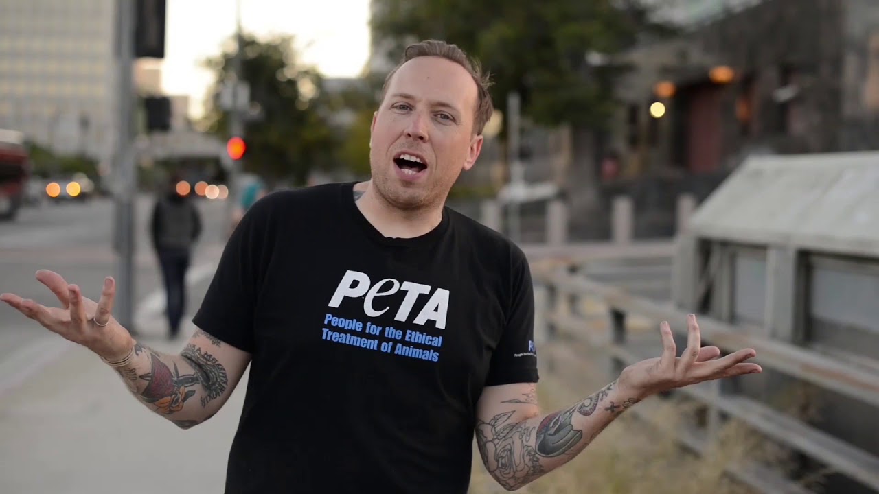 PETA's Year in Review 2017 - YouTube