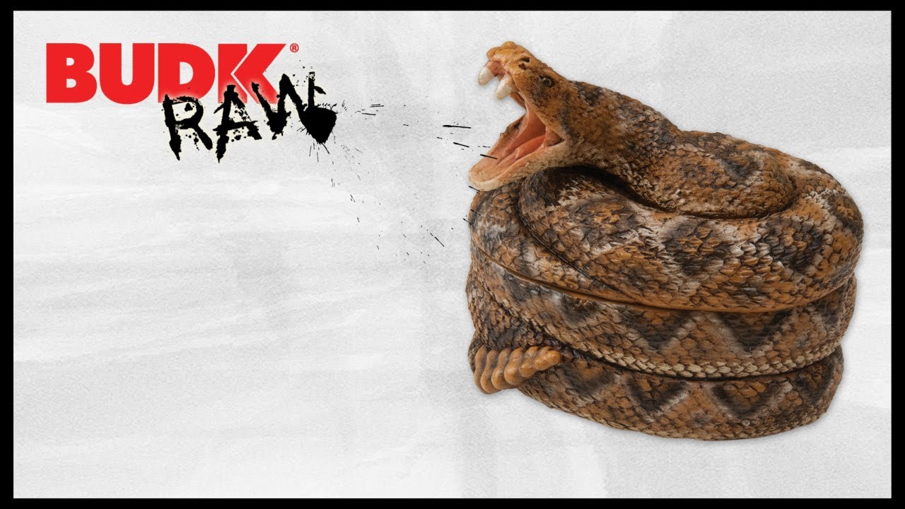 Rattlesnake Western Décor Jewelry Box - YouTube