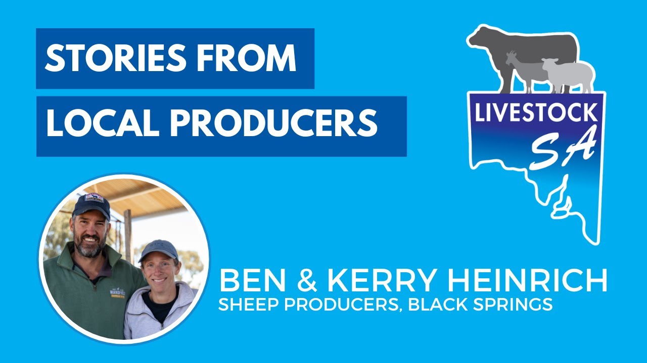 Stories from Local Livestock Producers in South Australia - Ben & Kerry ...